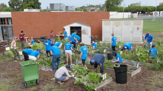 Public Information - Beach Cities Health District